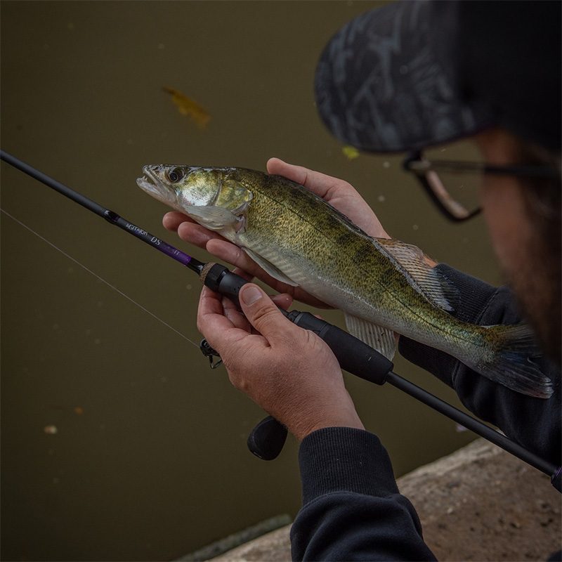 Wychwood Agitator MKII Drop Shot Rods - £64.99